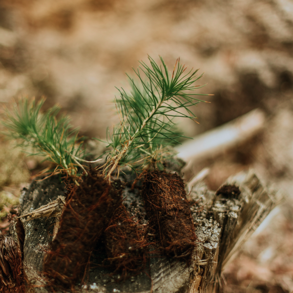 SecureSpend | Check Balance & Manage Secure Spend Gift Card